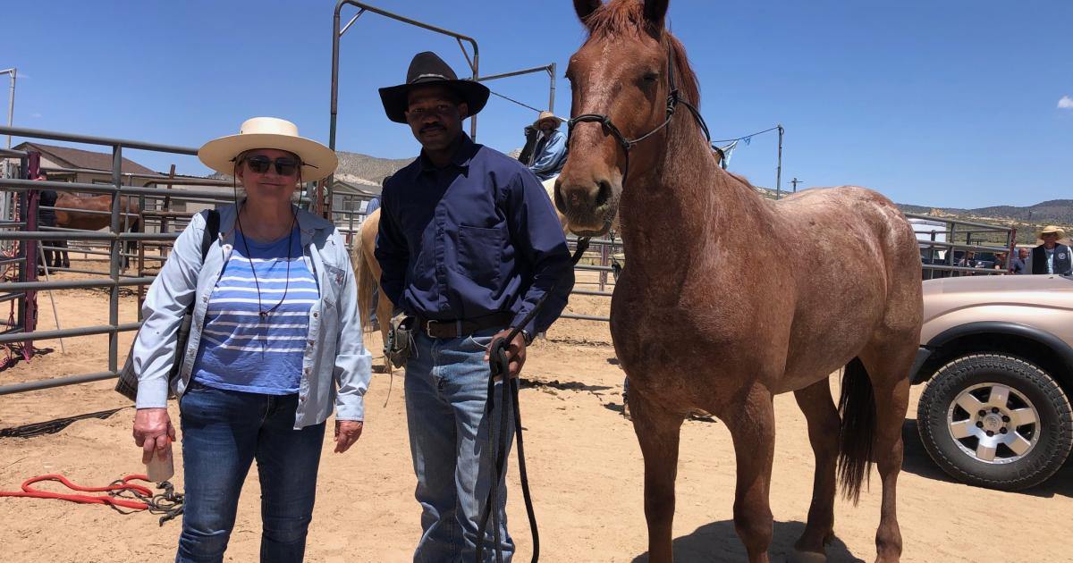 BLM schedules wild horse adoption event with Fort Worth Mustang Show ... BLM schedules wild horse adoption event with Fort Worth Mustang Show ...